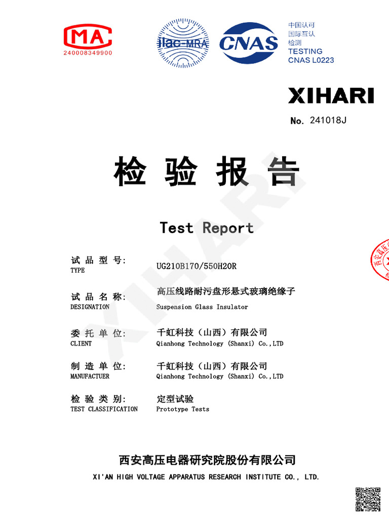 U210bp Type Report | PDF