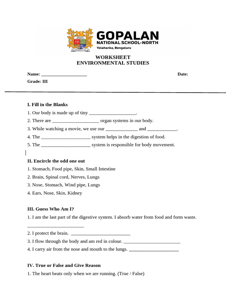 Grade 3 Human Body Ws | PDF