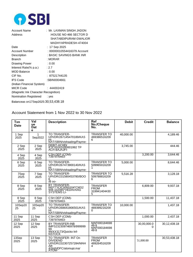 SBI Account Statement Summary 2025 | PDF | Personal Identification ...
