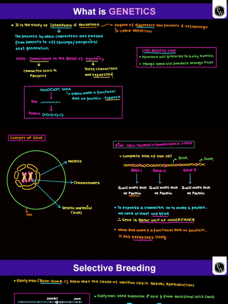 Genetics | PDF