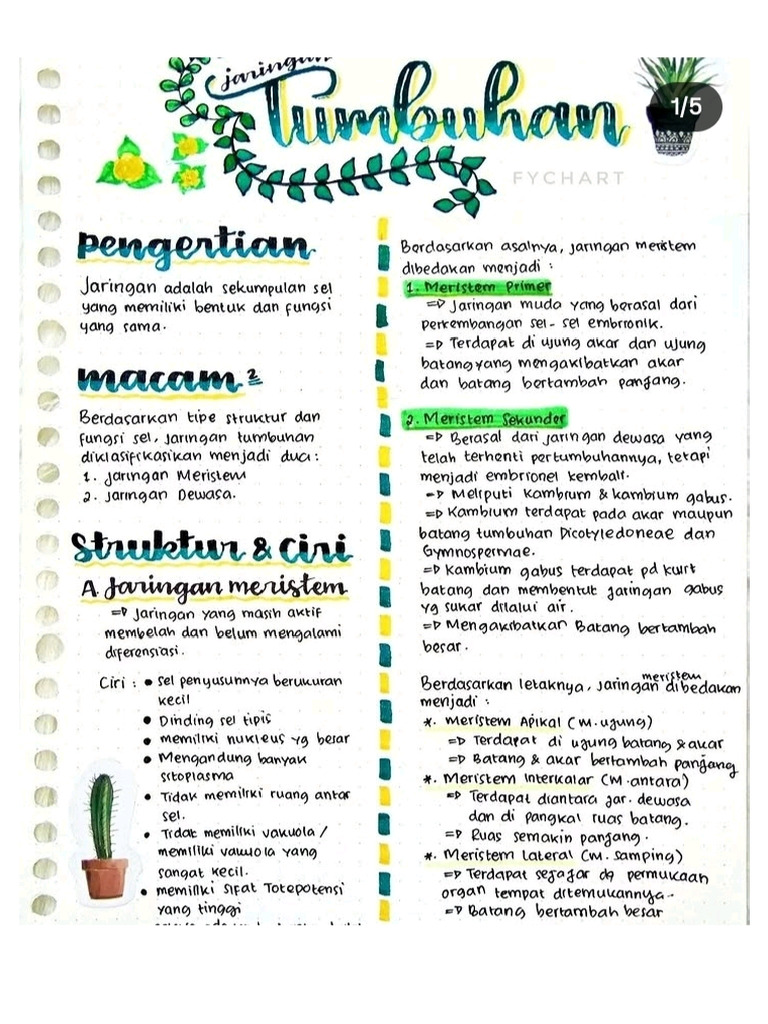 PDFGallery 20250923 050731 | PDF