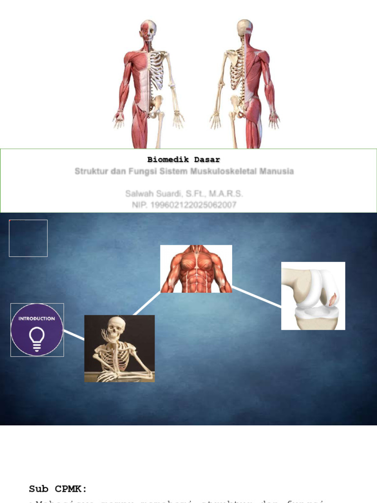 Muskuloskeletal Systems | PDF