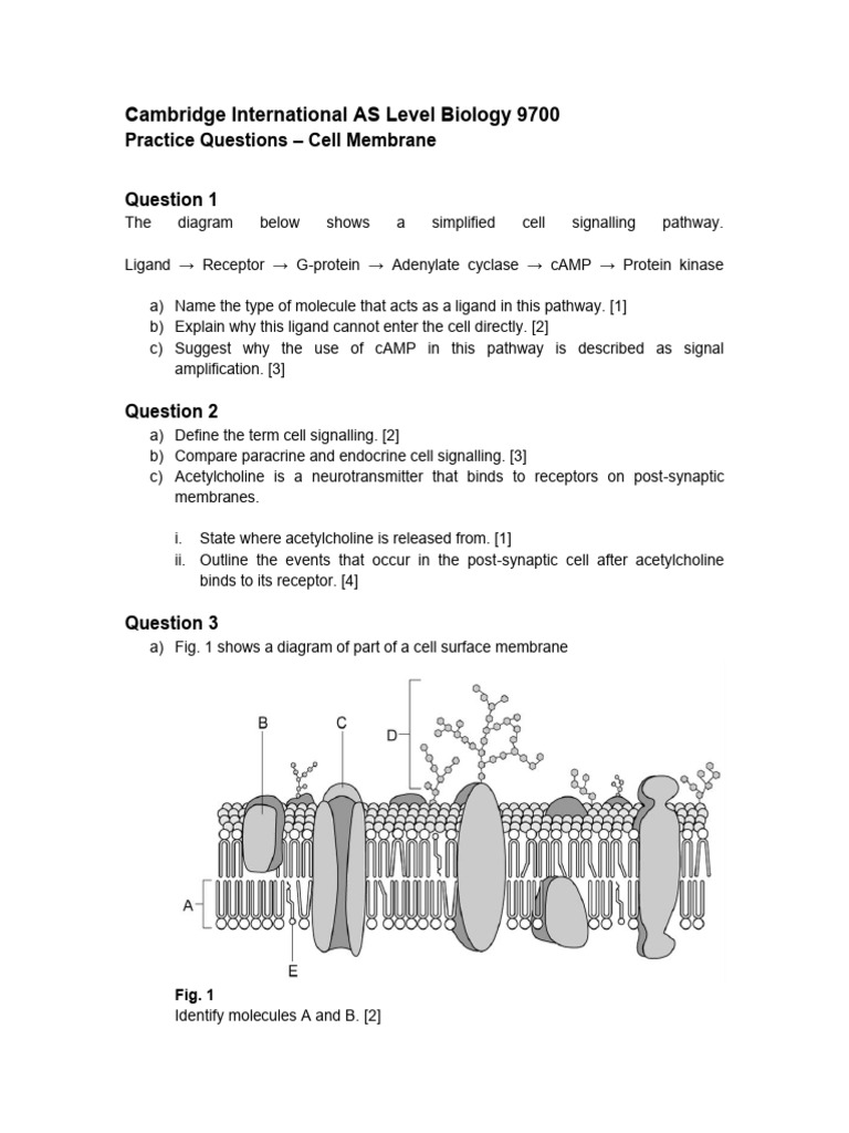 Biology 9700 Cell Signalling Questions | PDF