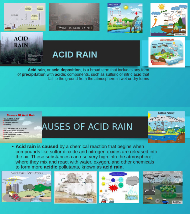 Acid Rain PDF | PDF