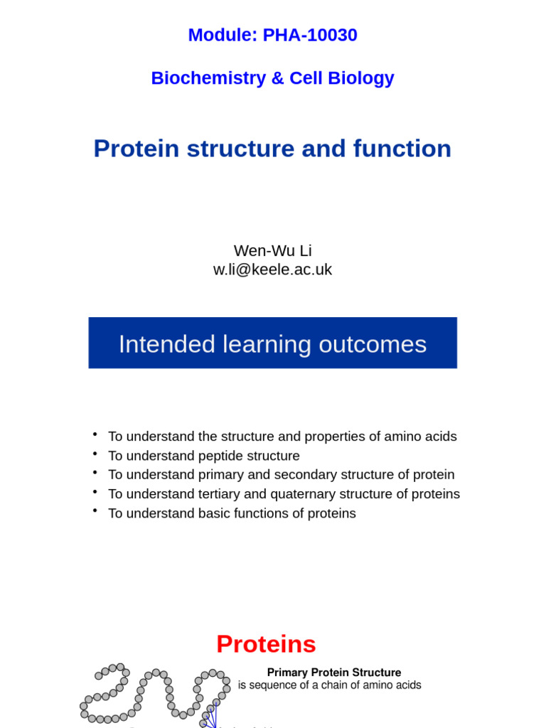 Lecture Protein Structure and Function 2024-V2 | PDF | Amino Acid ...