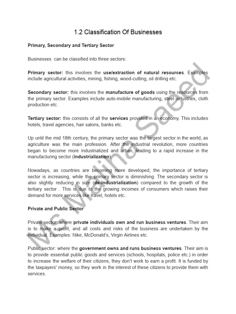 1.2 Classification of Businesses Notes - Watermark | PDF