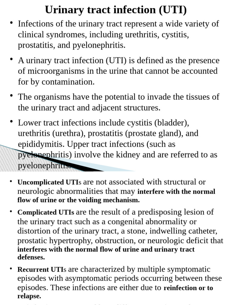 Understanding Urinary Tract Infections | PDF | Urinary Tract Infection ...