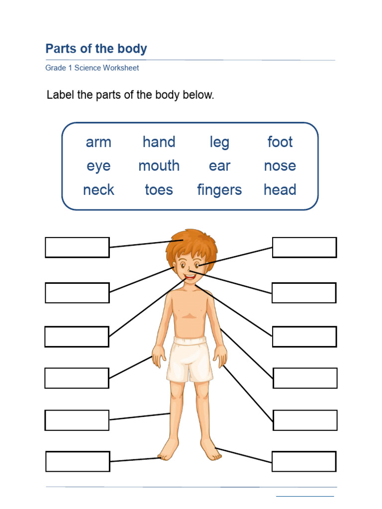 Grade 1 Parts Body A | PDF