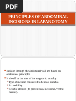 Types of Abdominal Incisions | PDF | Abdomen | Clinical Medicine