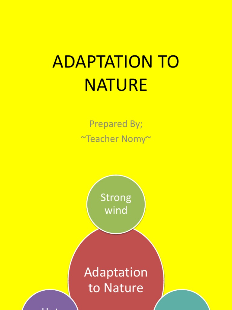Nature Adaptations: Wind & Heat | PDF