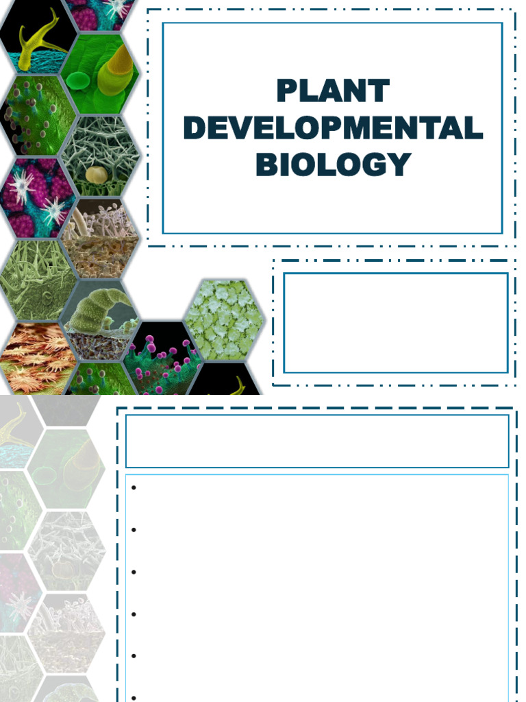 Inbound 2293775203760282815 | PDF | Flowers | Seed