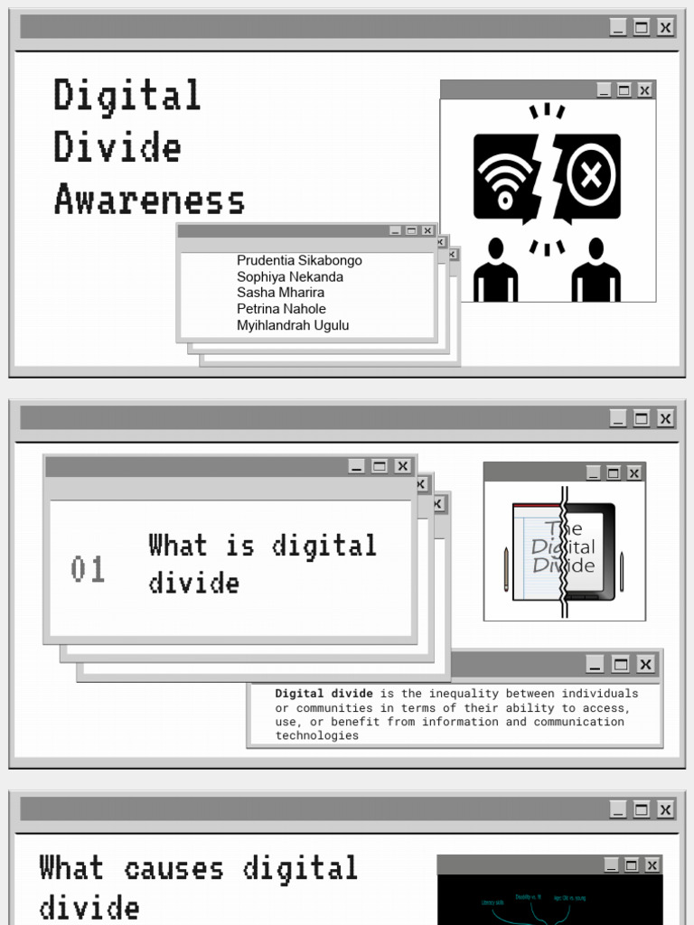 Digital Divide | PDF