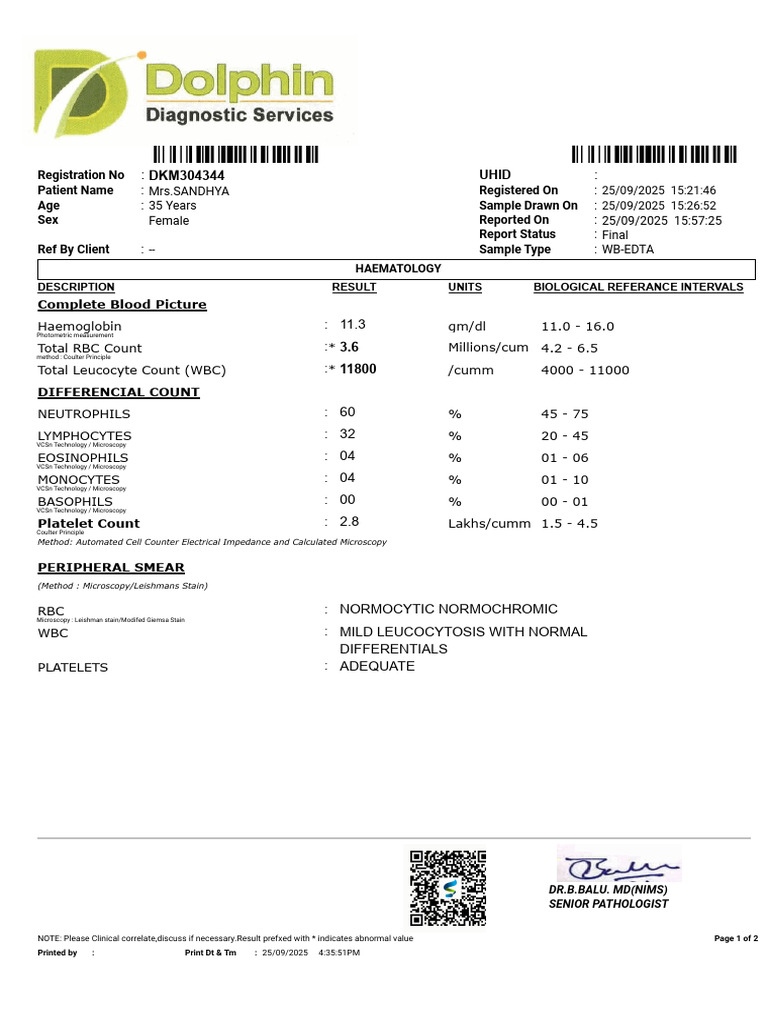 Complete Blood and Biochemistry Report | PDF | Creatinine | White Blood ...