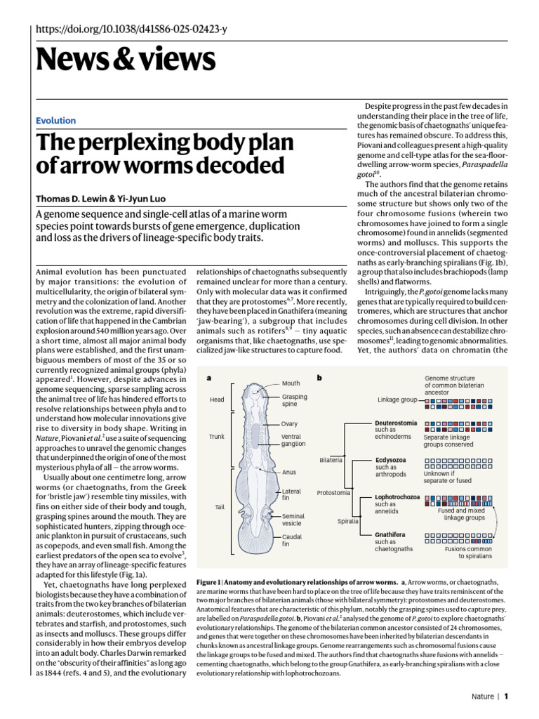 Decoding Arrow Worm Evolution | PDF | Gene | Evolution