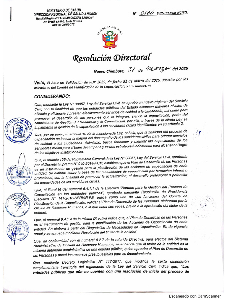 PDP 2025 Hospital Regional Eleazar Guzman Barron | PDF