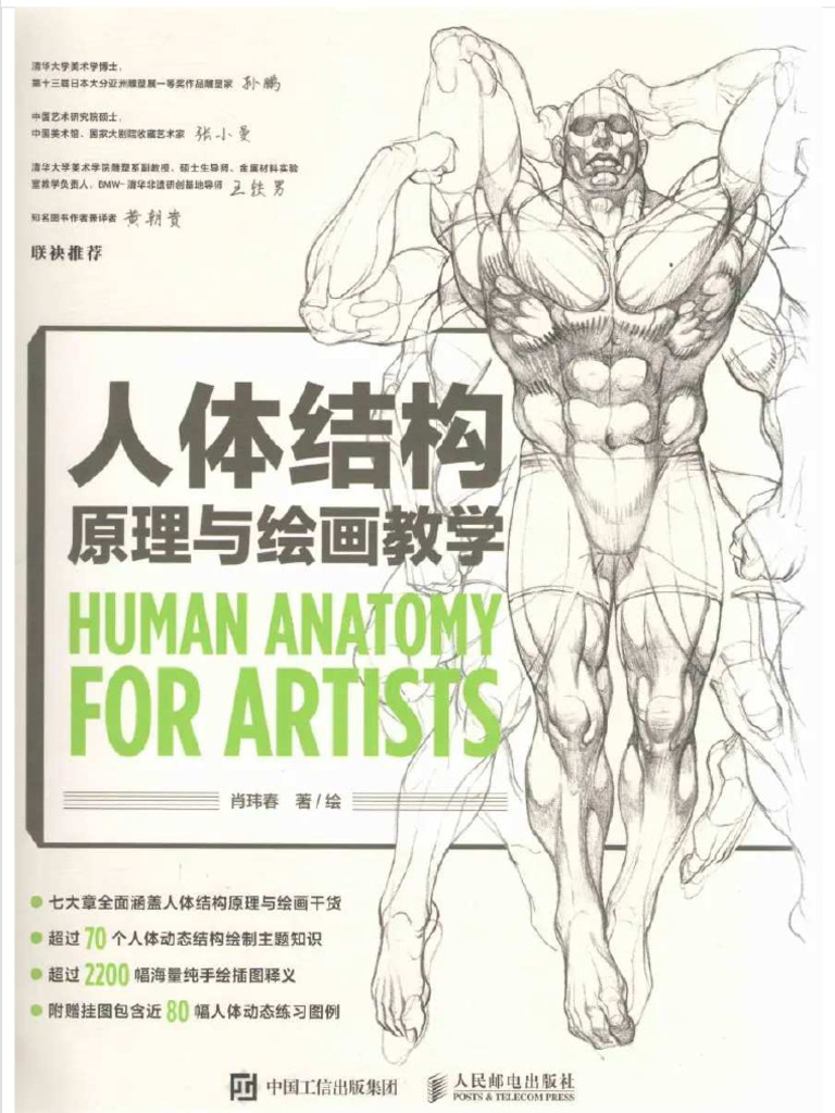 Human Anatomy For Artist | PDF