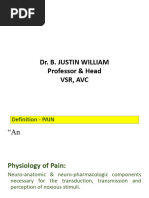 CSU Canine Acute Pain Scale Guide | PDF | Pain | Diseases And Disorders