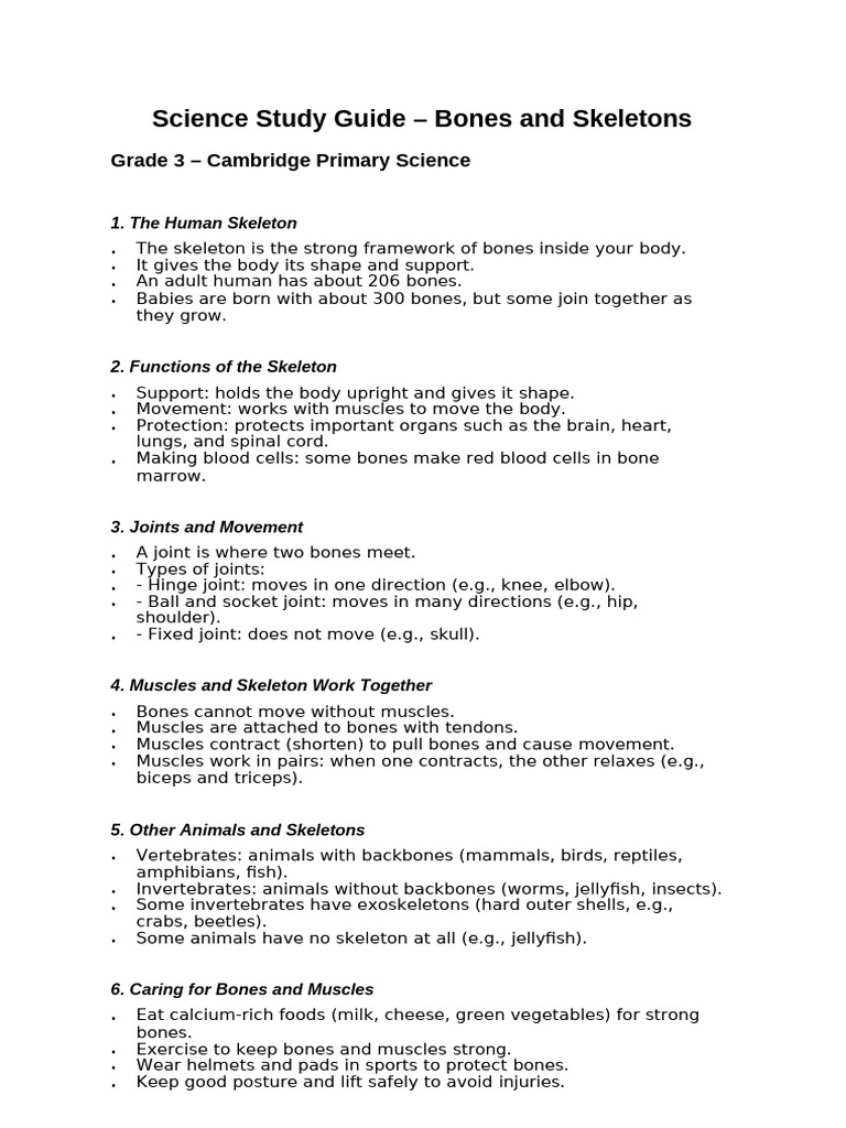KS3 Skeleton Study Guide | PDF | Skeleton | Infection