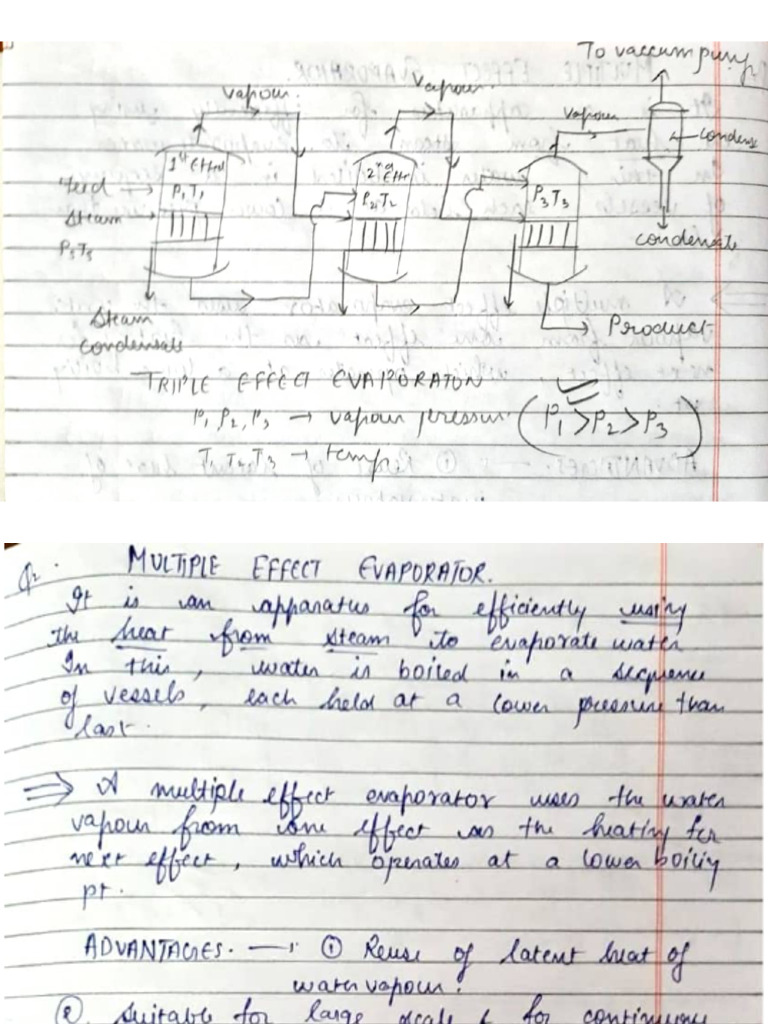 4th Sem Legumes Notes | PDF