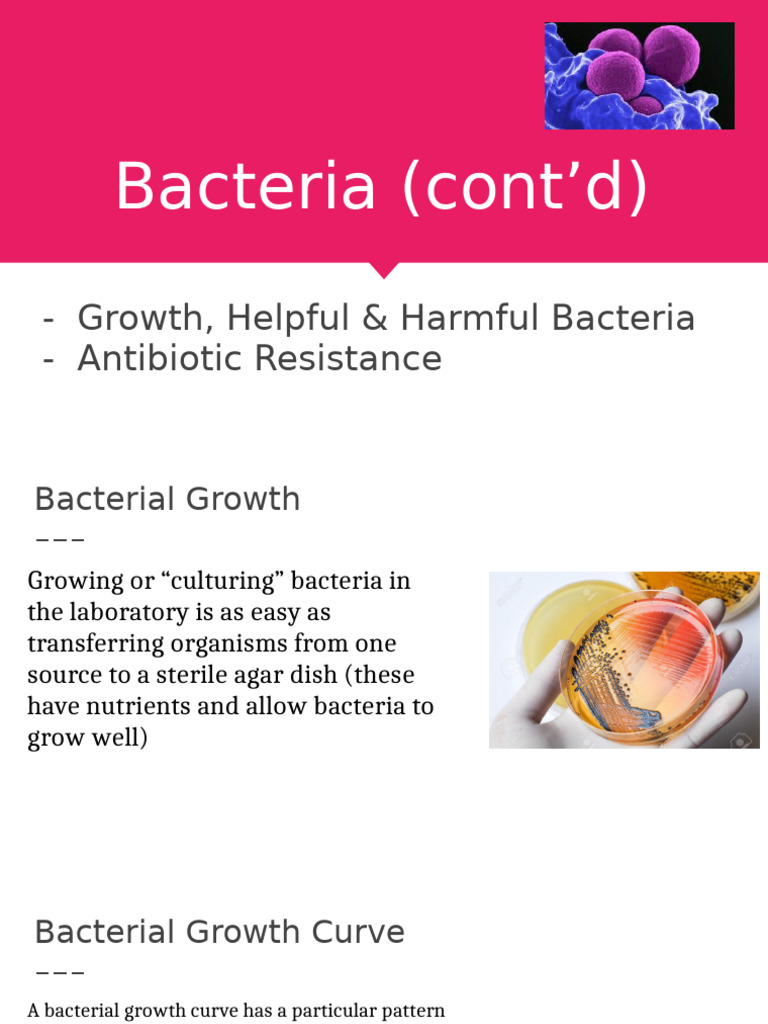 Helpful Bacteria PP | PDF | Bacteria | Antimicrobial Resistance