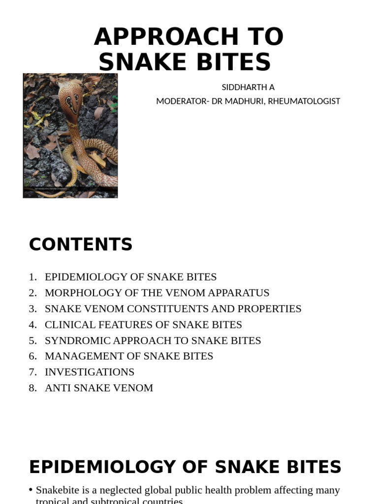 Comprehensive Guide to Snake Bites | PDF | Snake | First Aid