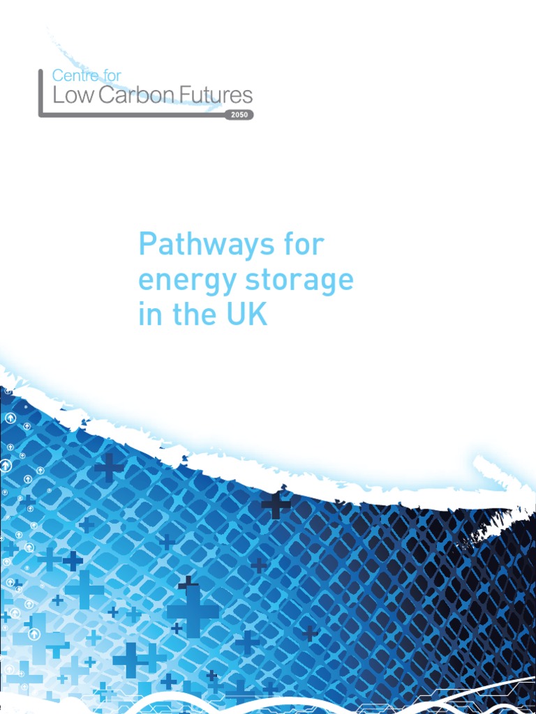 Pathways For Energy Storage | PDF | Energy Storage | Renewable Energy
