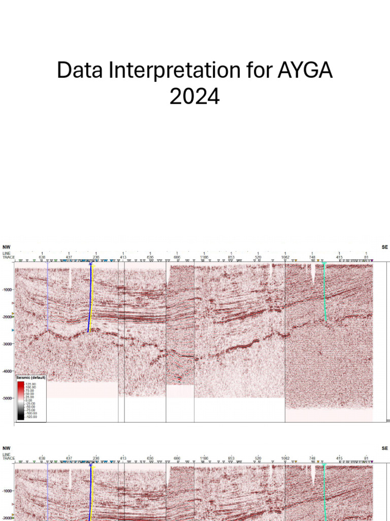 Data Interpretation For AYGA 2024 | PDF