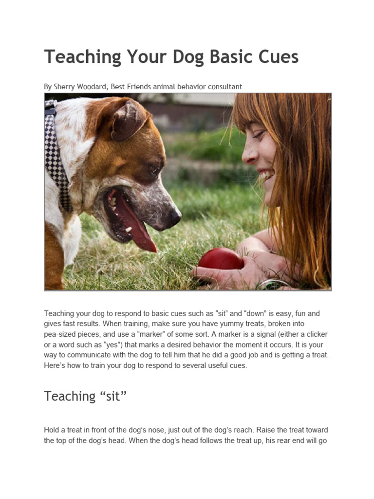 Basic Dog Training Cues Guide | PDF | Dogs