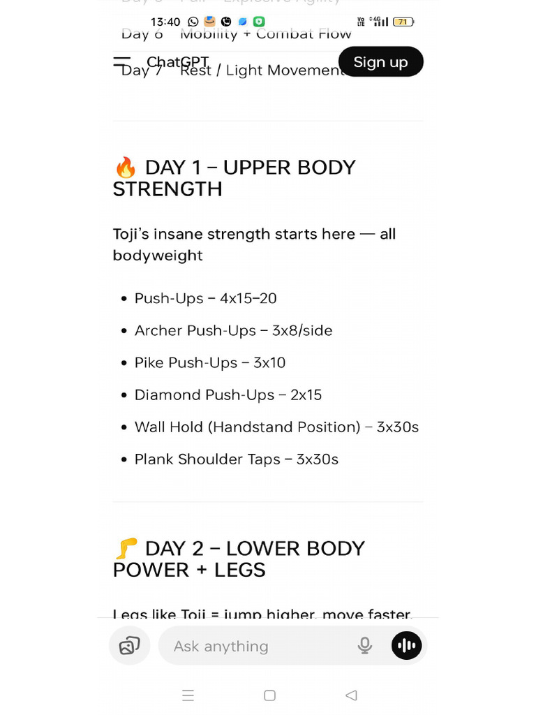 Toji Fushiguro Workout Plan | PDF