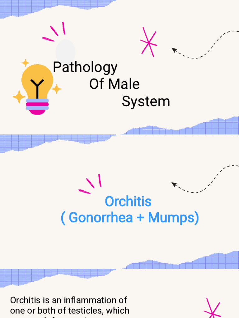 Orchitis Causes and Complications in Males | PDF | Medical Specialties ...