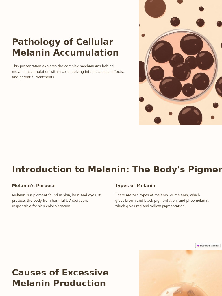 Pathology of Cellular Melanin Accumulation | PDF | Human Skin Color | Skin