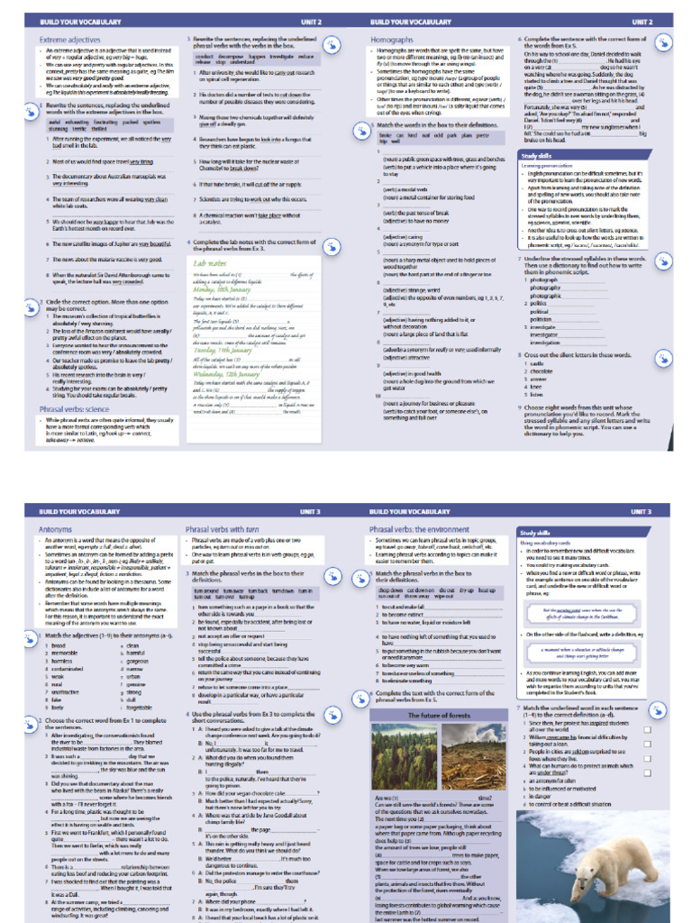 Build Your Vocabulary Units 2&3 | PDF