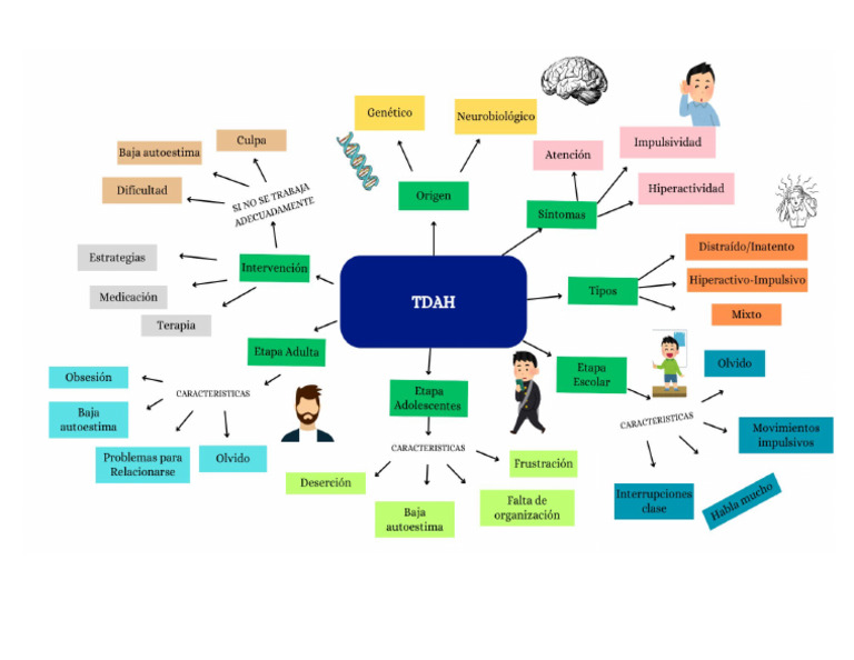 Mapa Mental de TDAH | PDF