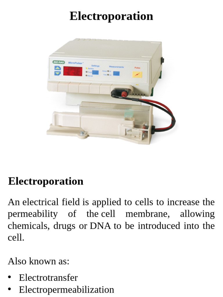 Electroporation: Cell Membrane Permeability | PDF | Biological ...