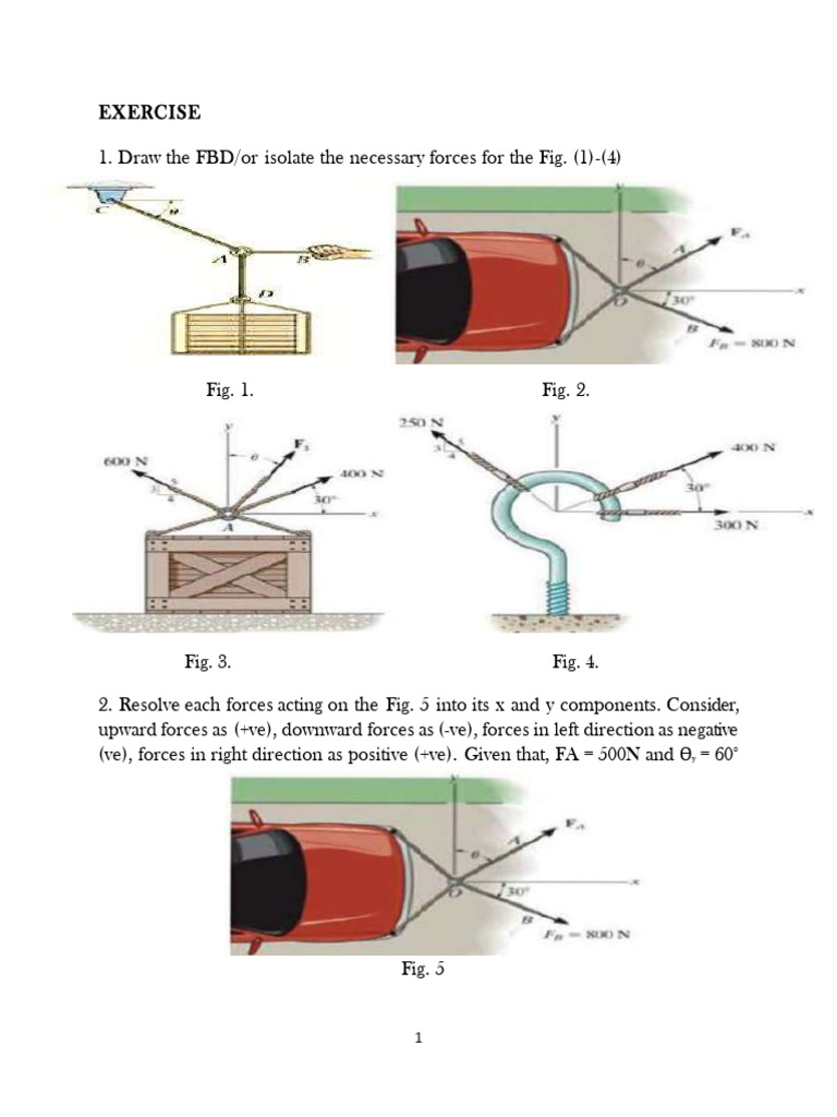Exercise Pdf