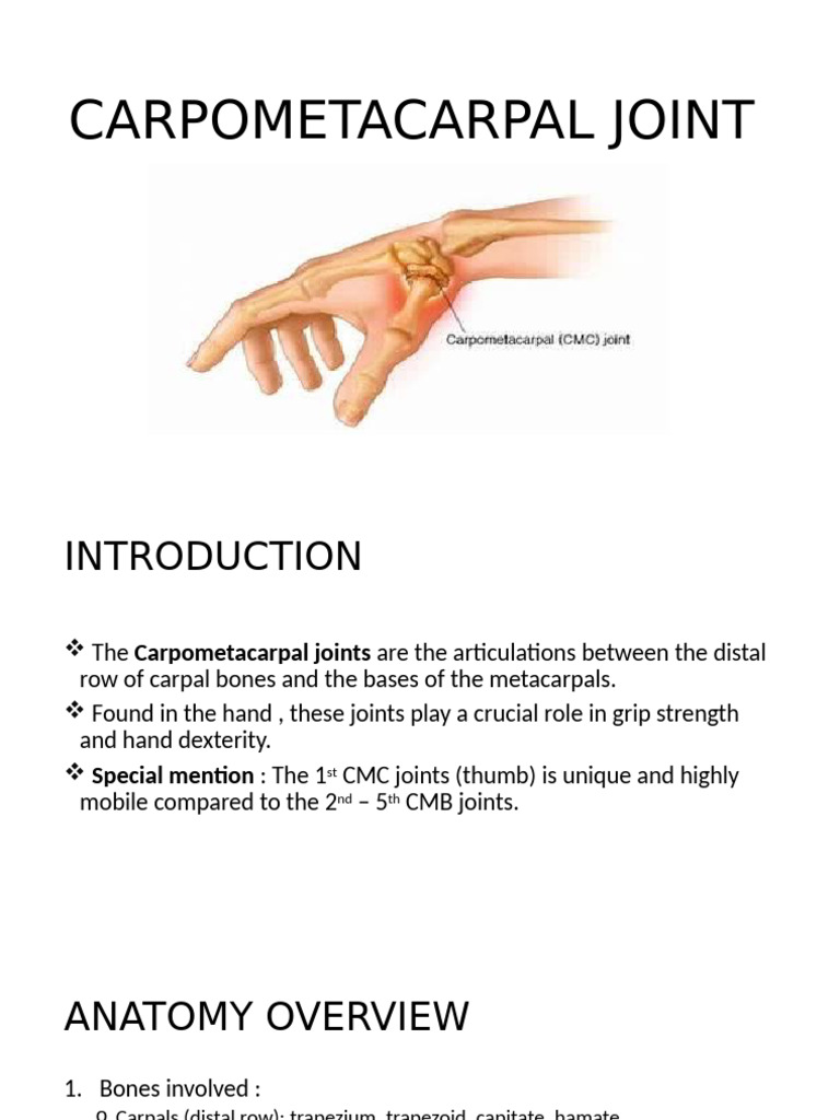 Carpometacarpal Joint Types and Anatomy | PDF