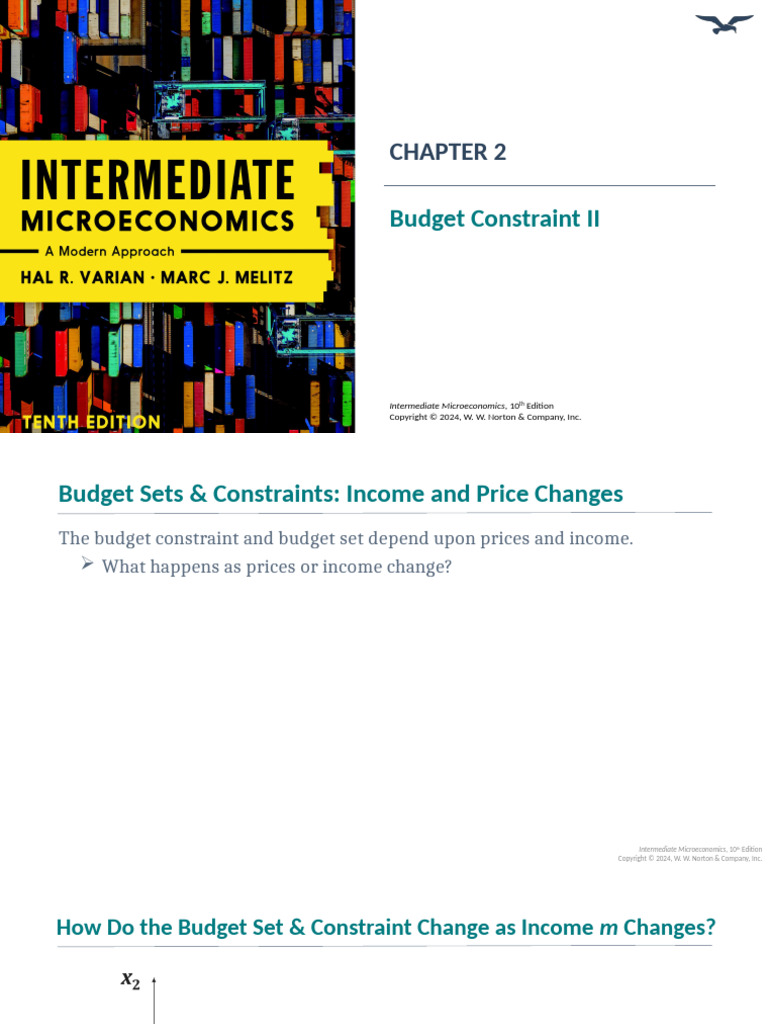 Budget Constraint II | PDF | Microeconomics | Income
