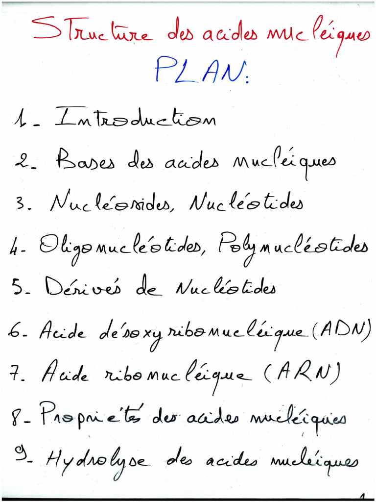 Acides Nucléiques | PDF