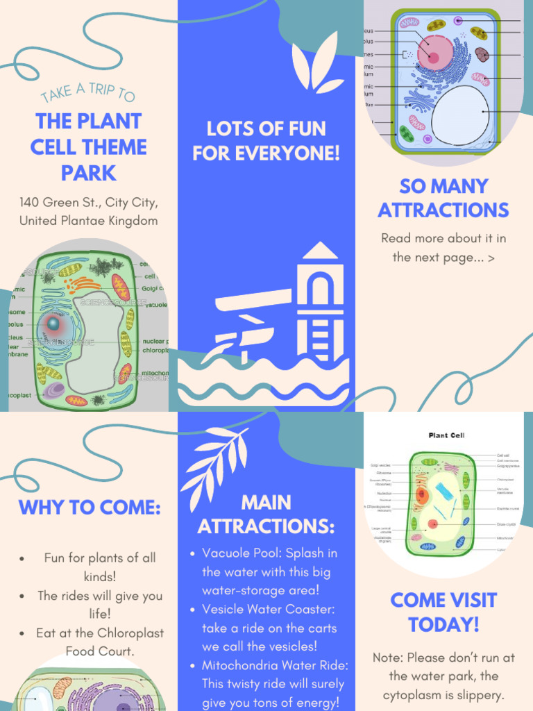 Plant Cell Theme Park Brochure | PDF