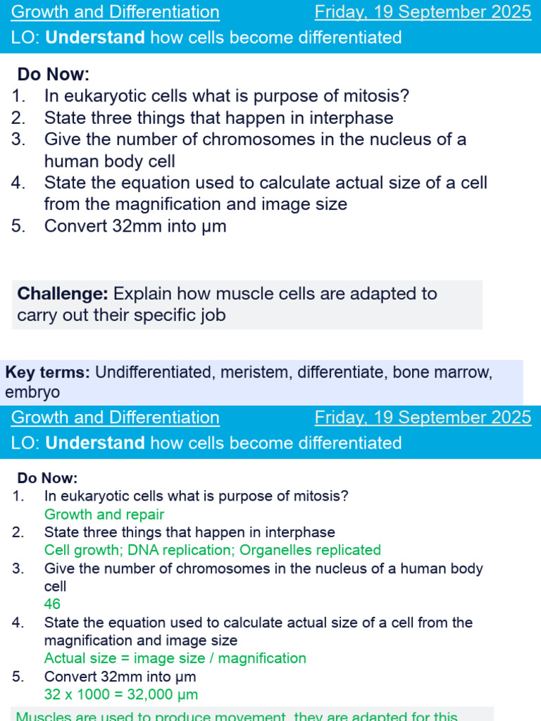 Incredible Stem Cells | PDF | Stem Cell | Cellular Differentiation
