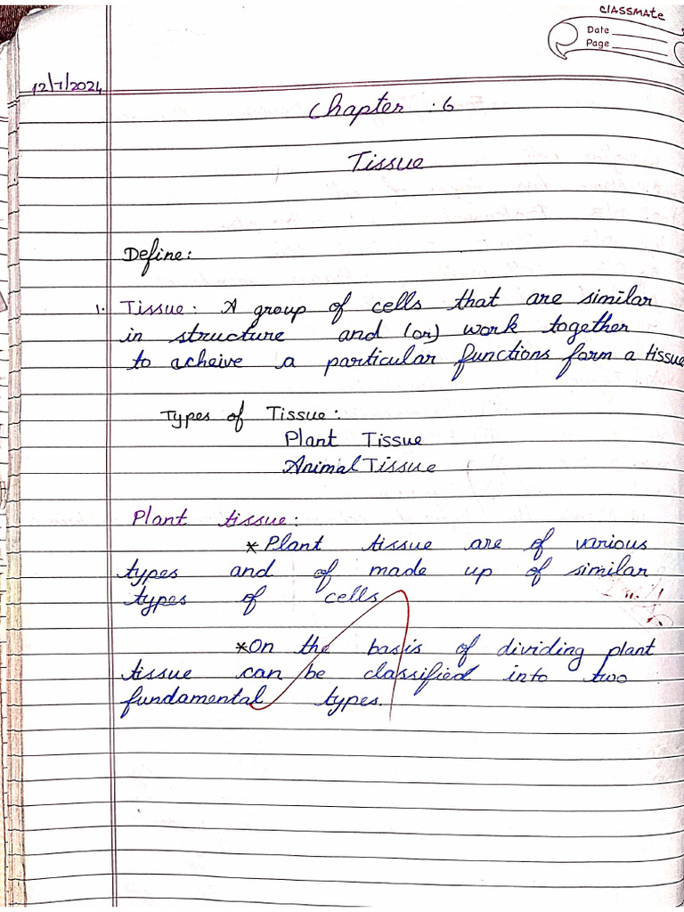 Science Class Work Chapter 2 | PDF