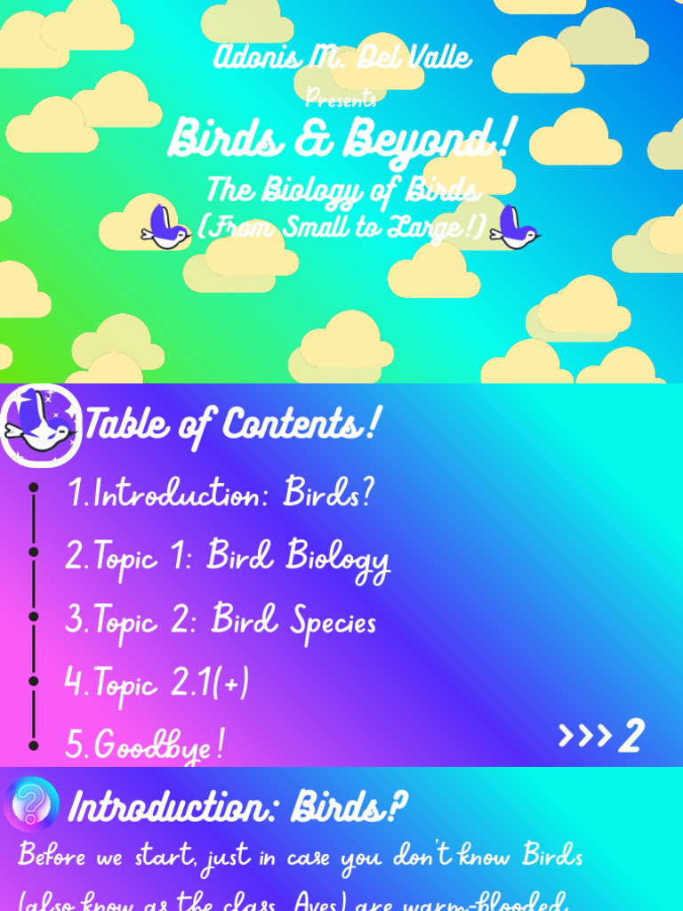 Bird & Beyond! The Biology of Birds (Small To Large!) - Presentation ...