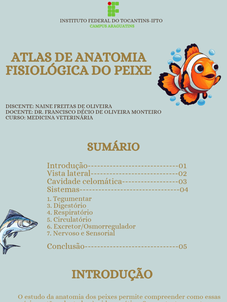 Anatomia e Fisiologia dos Peixes | PDF | Sistema digestivo humano ...