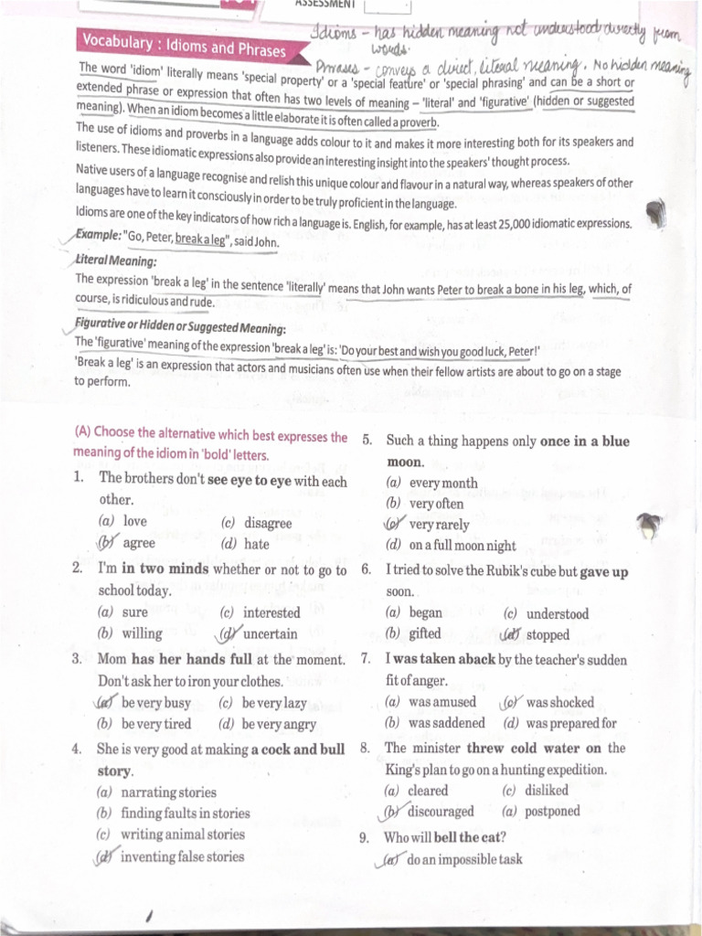 Idioms and Phrases | PDF