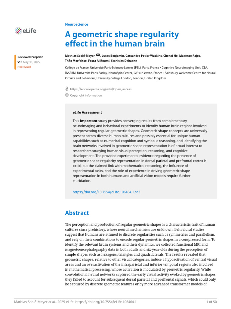 A Geometric Shape Regularity Effect in The Human Brain: Neuroscience ...