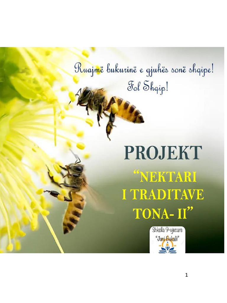 Libri Nektari I Traditave - II - 2025 | PDF
