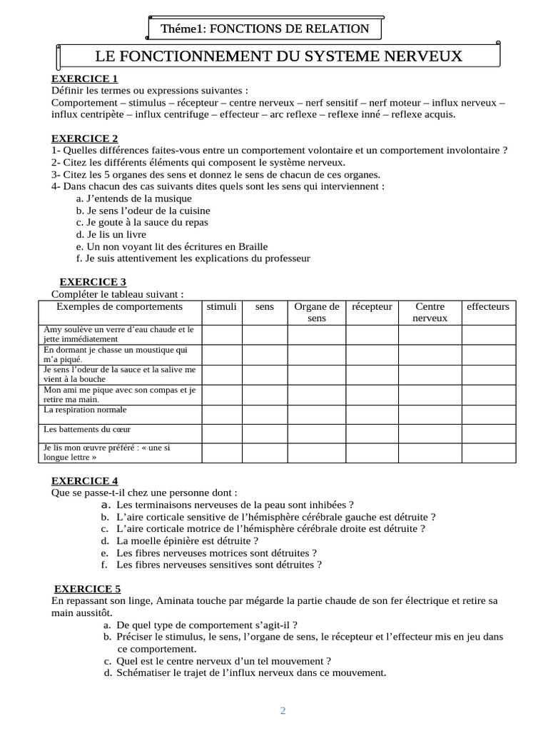 Exo SVT 3éme | PDF | Nerf | Système nerveux
