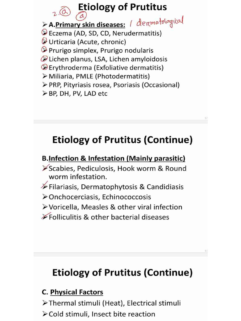 Skin Assessment | PDF
