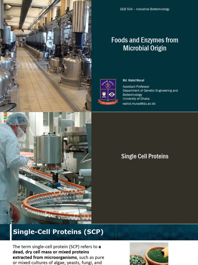 Foods and Enzymes From Microbial Origin | PDF | Probiotic | Umami