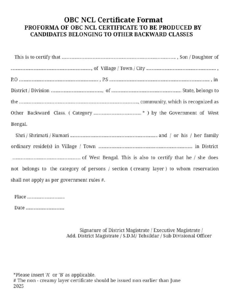 Obc NCL 2025 Format | PDF